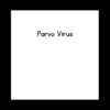 Virus Vocabulary Megaly - Draw Your Own Virus Book - Medulingo