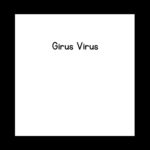 Virus Vocabulary Megaly - Draw Your Own Virus Book - Medulingo